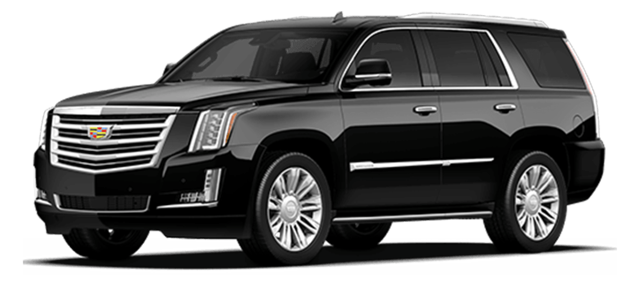 Charter Bus Rentals Near Me | Affordable Charter Bus Services