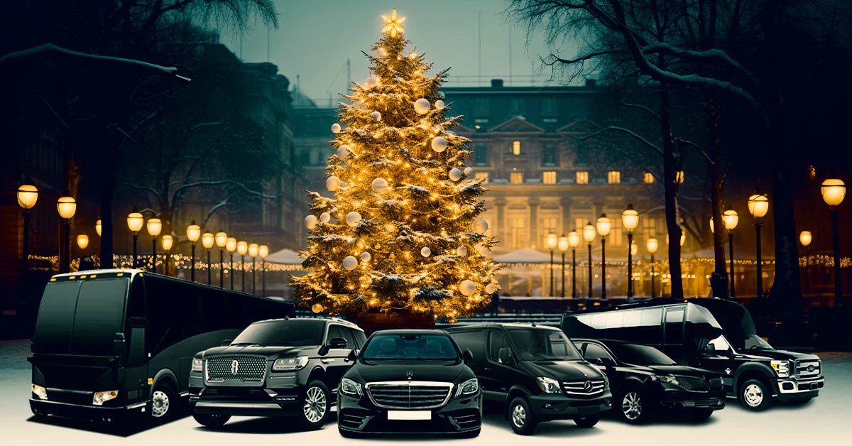Christmas Light Tour Transportation Services | Limo & Party Bus